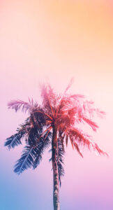 10 Fun Free Phone Wallpaper Backgrounds for Summer - Stars & Anchor