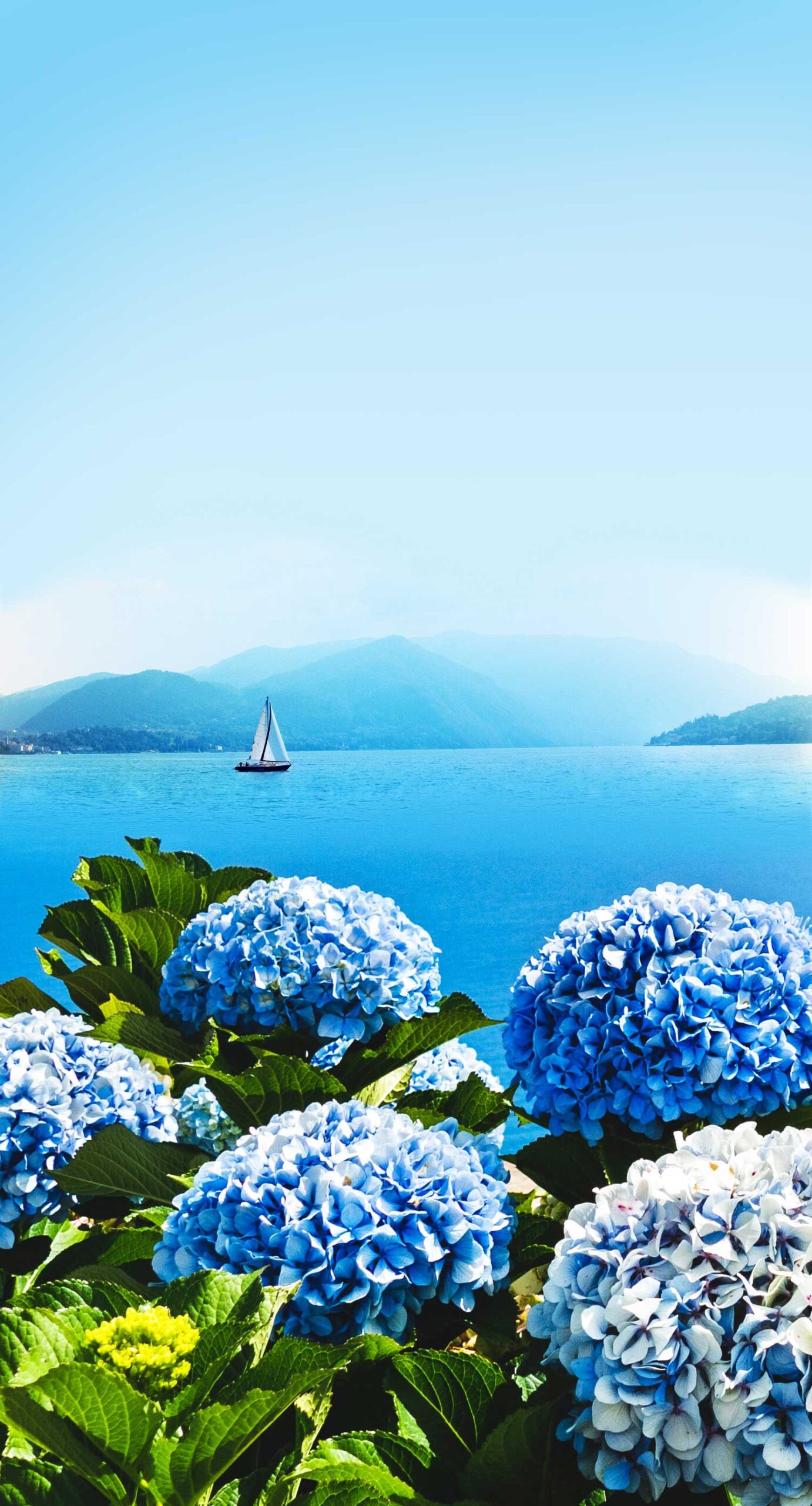 10 Fun Free Phone Wallpaper Backgrounds for Summer - Stars & Anchor