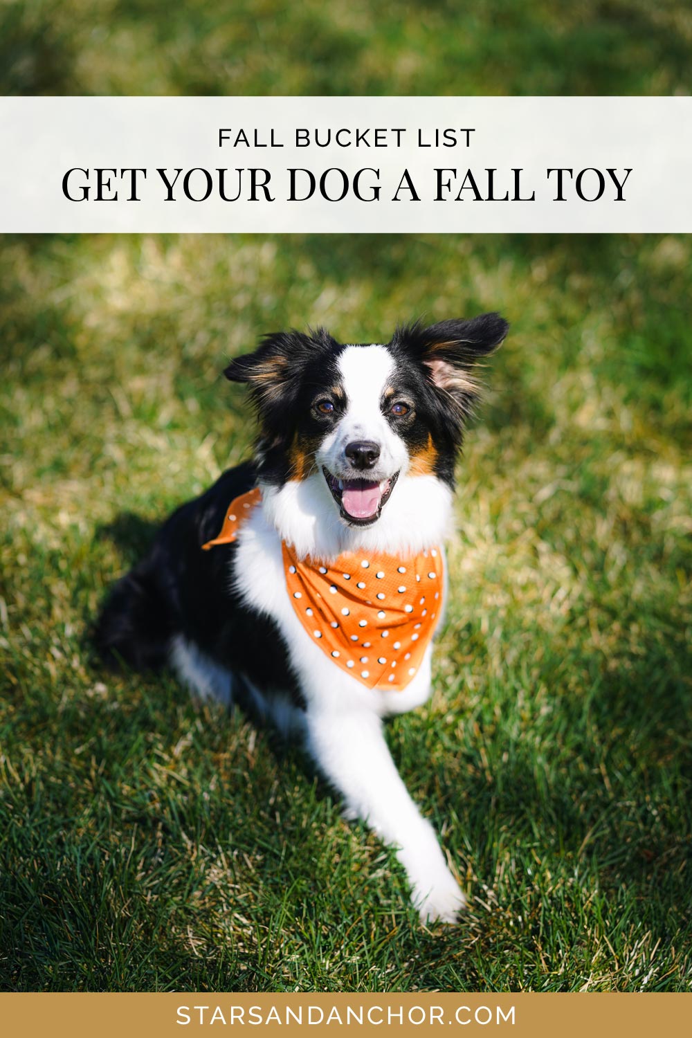 Create Your Perfect Fall Bucket List With These 32 Awesome Ideas ...