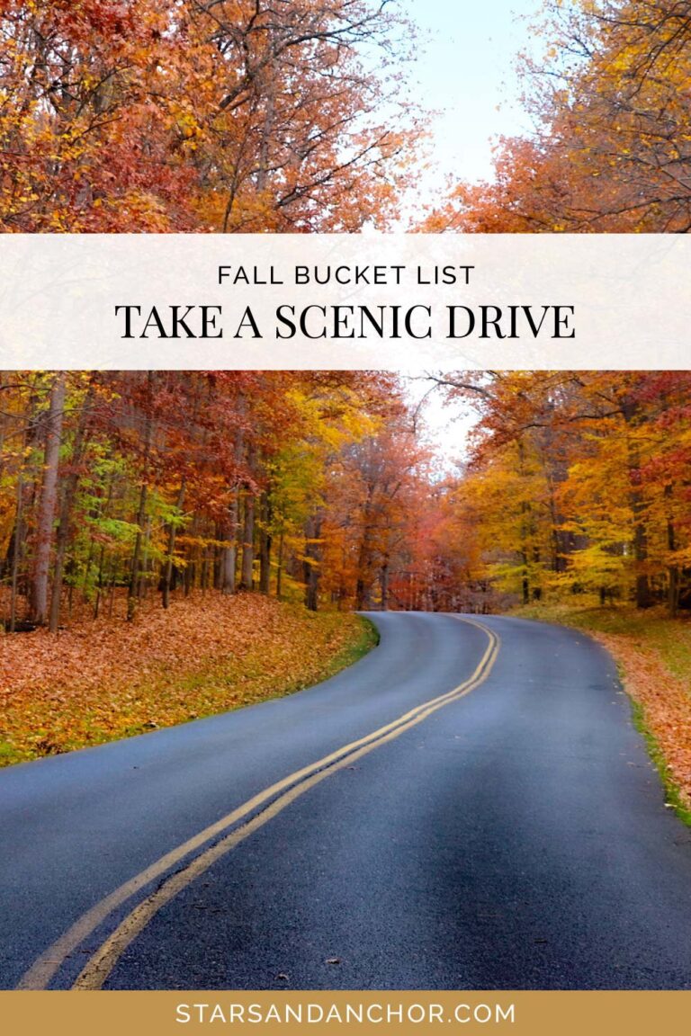Create Your Perfect Fall Bucket List With These 32 Awesome Ideas ...