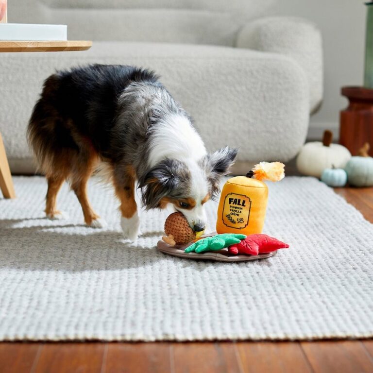 The Cutest Fall and Halloween Dog Toys That Your Pup Definitely Wants ...