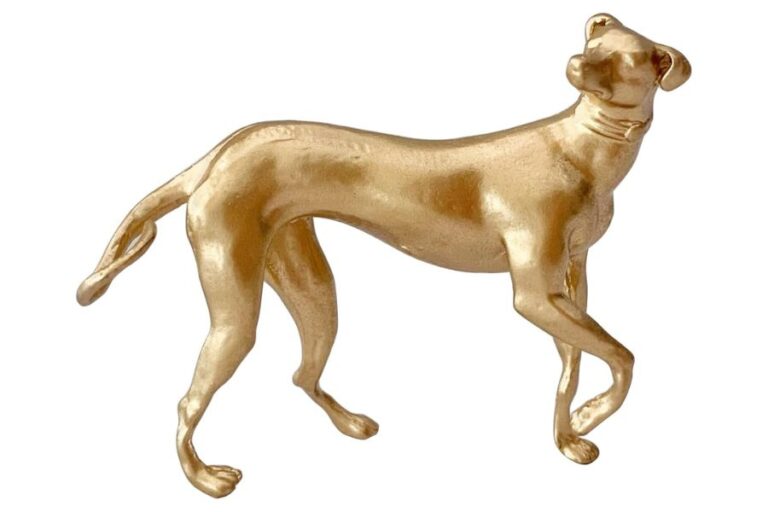 18 Charming Ways to Include Your Dog in Your Wedding Day (or Any Pet ...