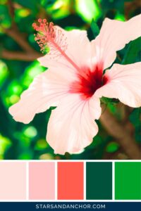 6 Inspiring Tropical Color Palettes for Your Coastal Home - Stars & Anchor