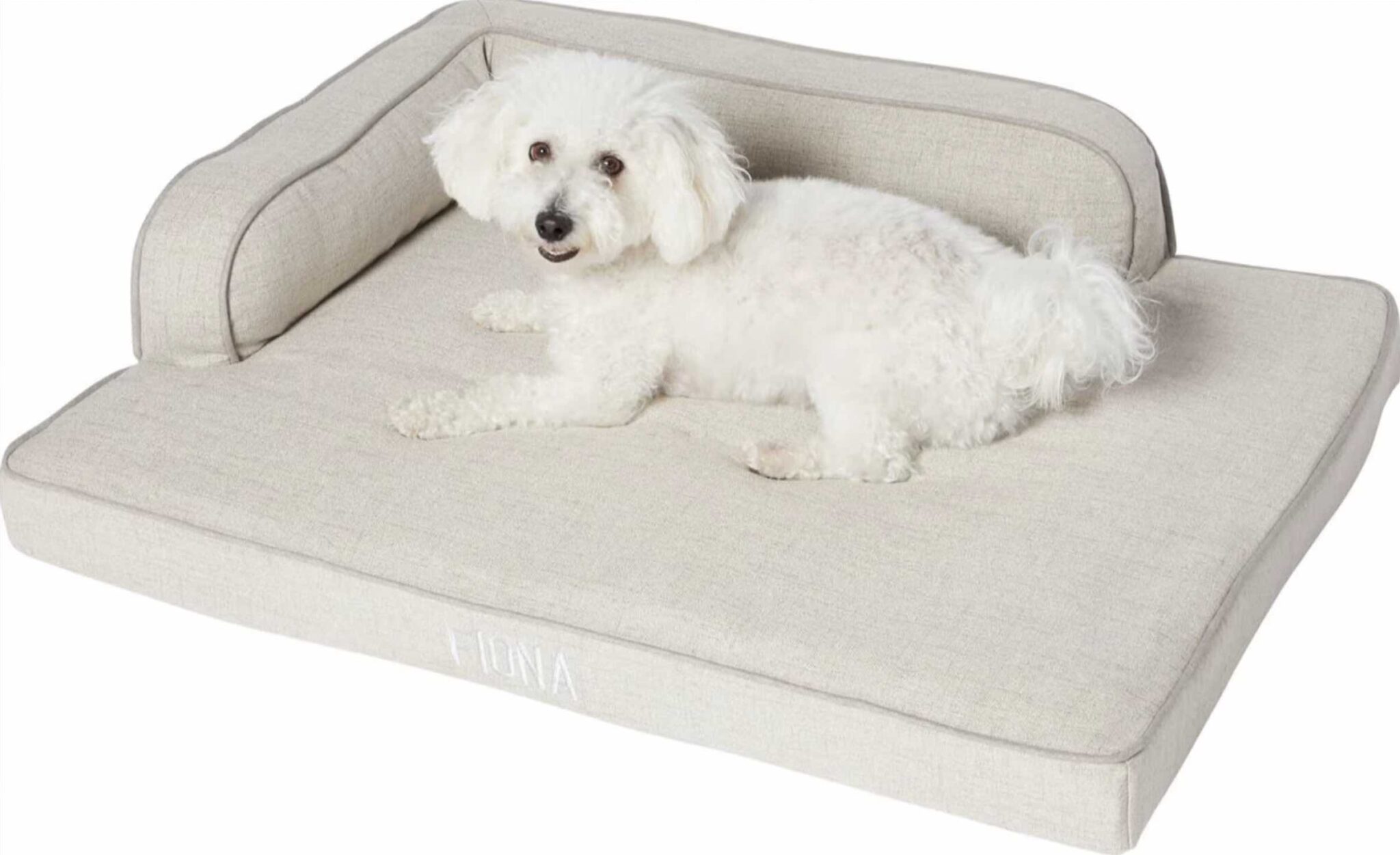 Coastal Dog Beds That Will Look Great in Your Beachy Home - Stars & Anchor