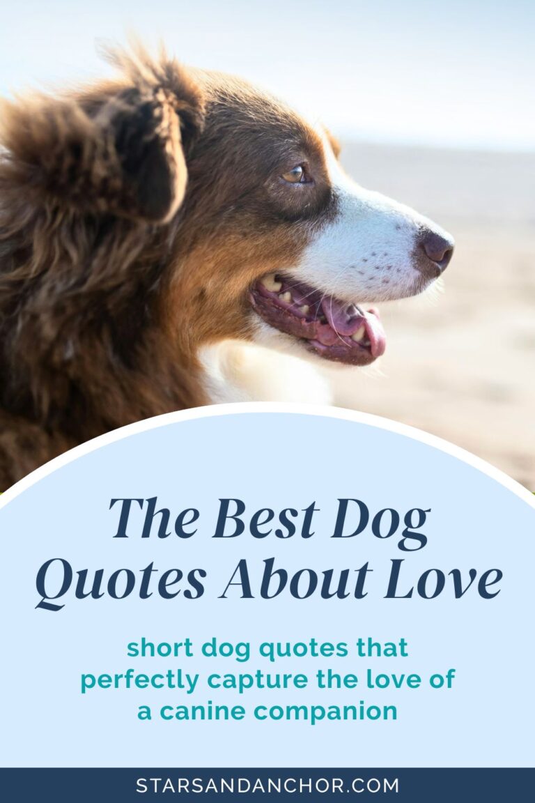 The Best Dog Quotes About the Love We Share With Our Pets - Stars & Anchor