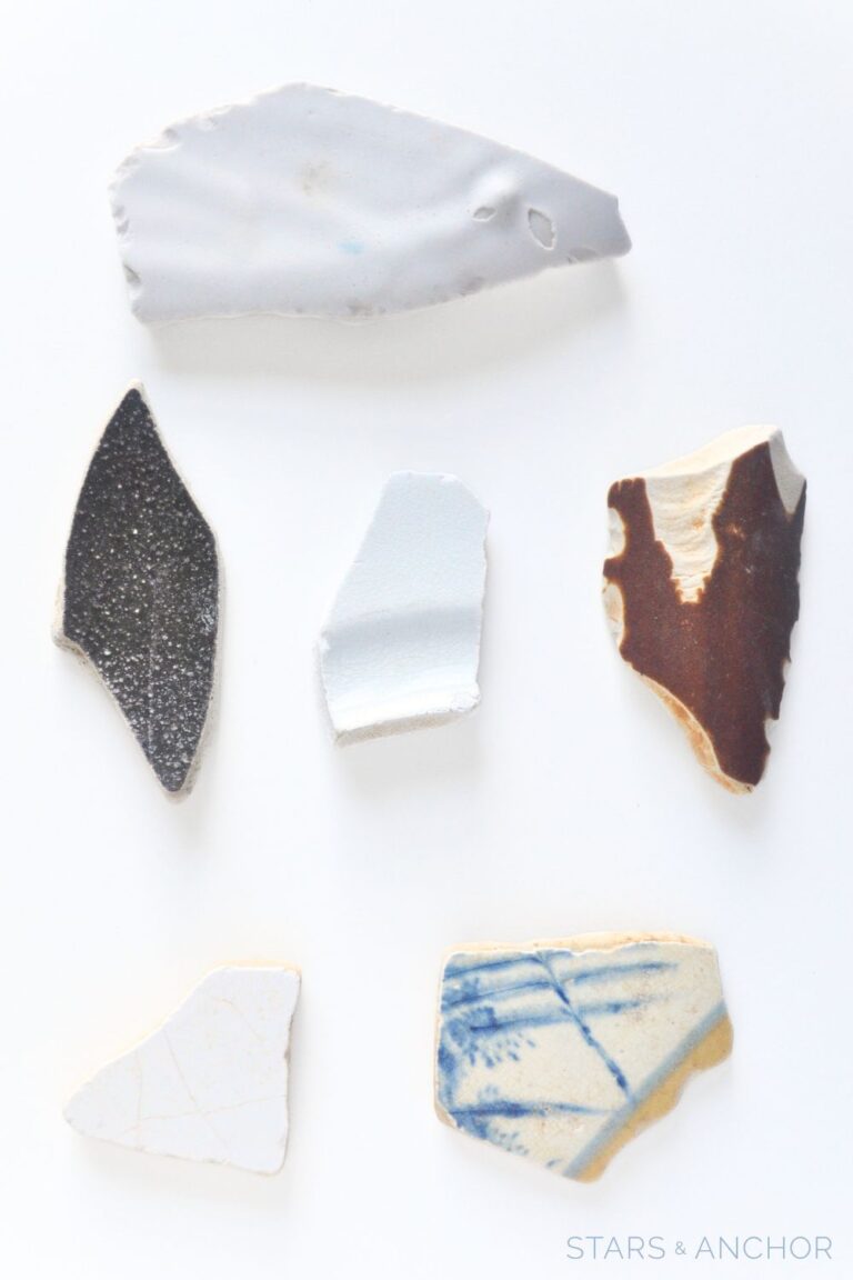 Best of Beachcombing: My Favorite Shells, Sea Glass, and Beach Pottery ...