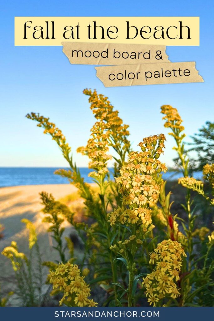 Fall at the Beach Mood Board & Color Palette Inspiration - Stars & Anchor