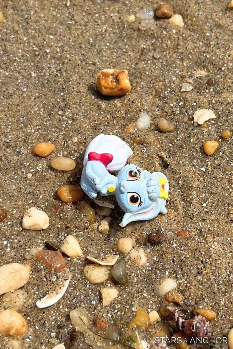 Beach Photography: The Strangest Things I Found Beachcombing in 2024 ...