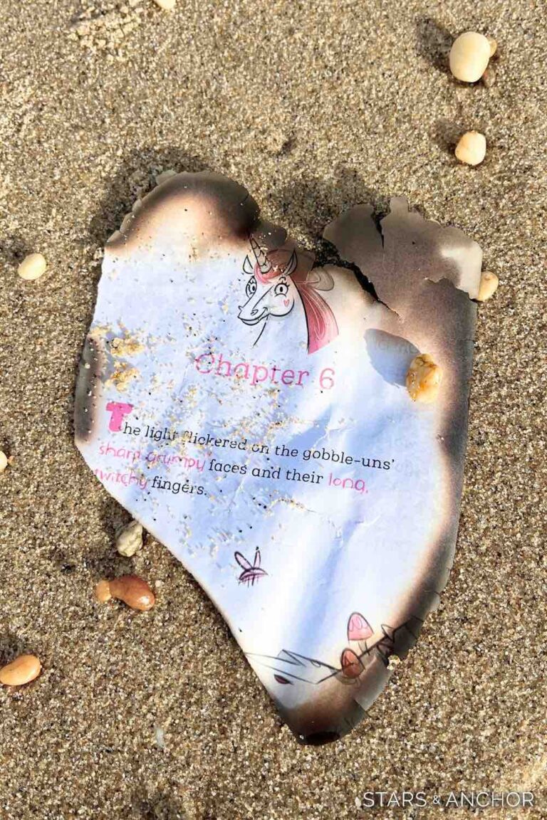 Beach Photography: The Strangest Things I Found Beachcombing in 2024 ...