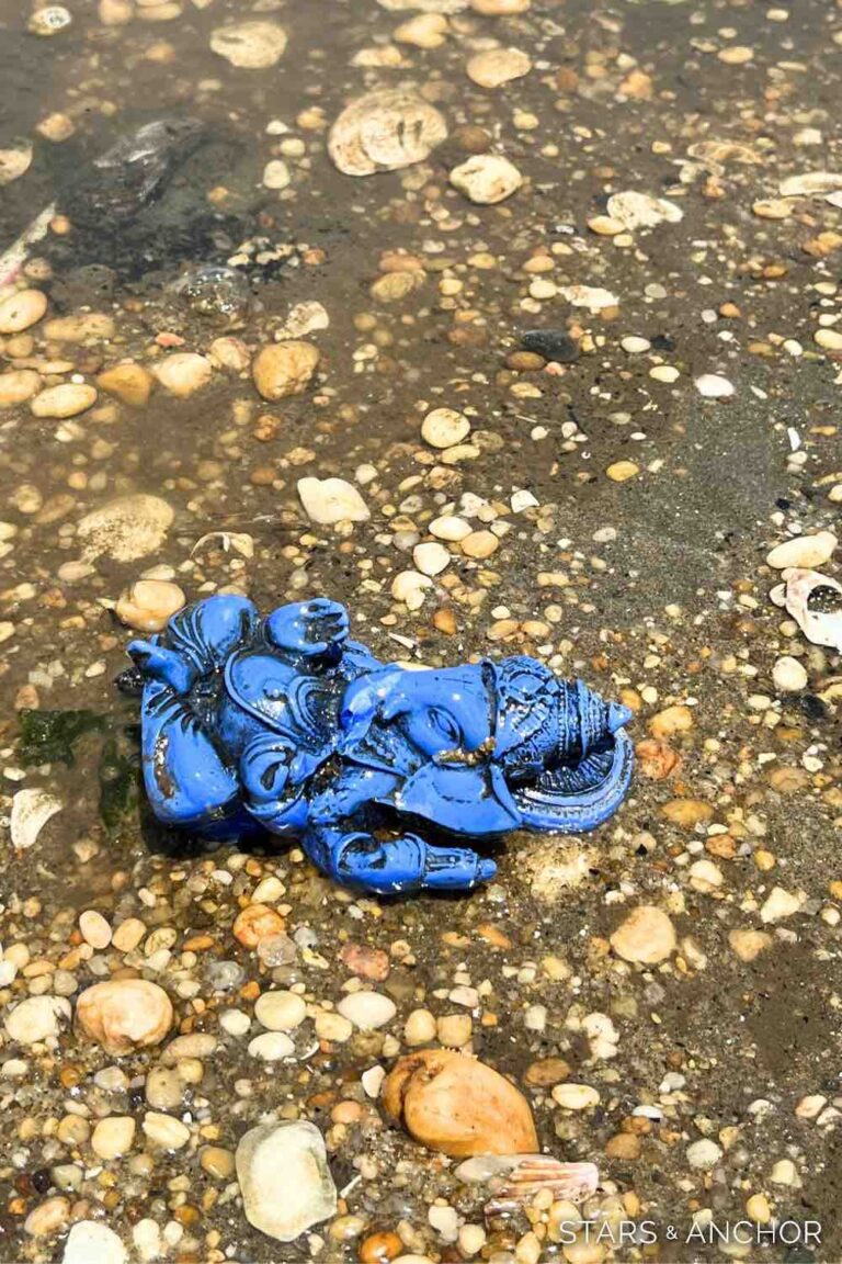 Beach Photography: The Strangest Things I Found Beachcombing in 2024 ...