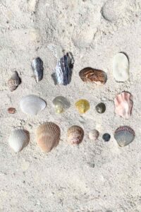 What Is Beachcombing, and Why Do People Like It? - Stars & Anchor