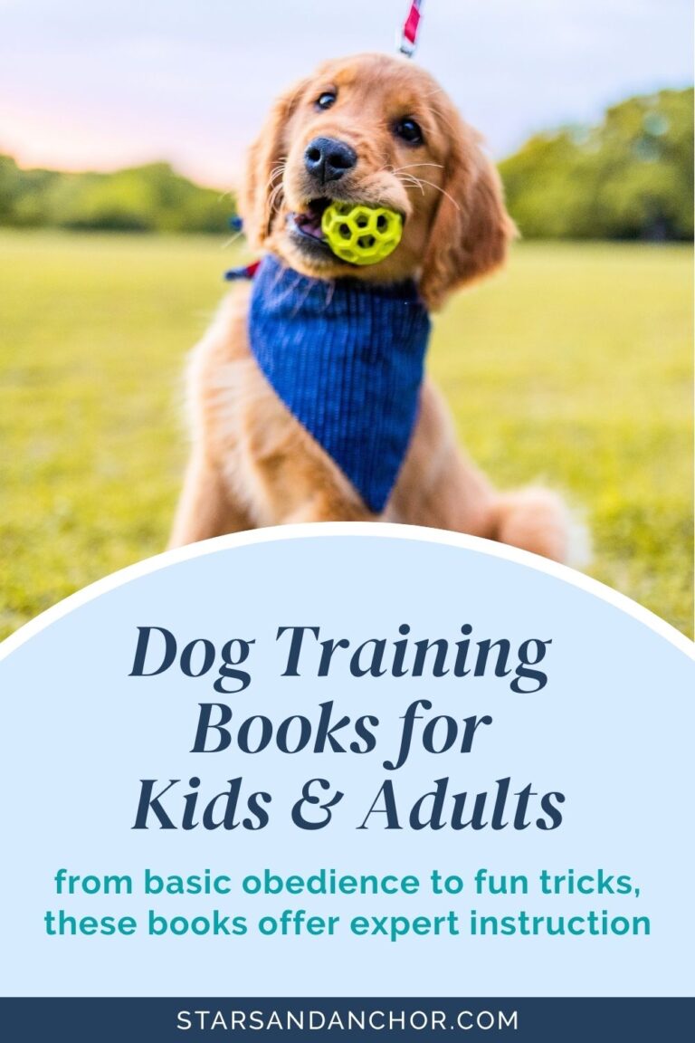The 13 Top Dog Training Books Every Dog Owner Needs to Know About ...